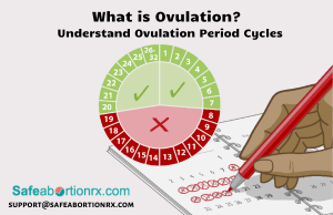 What is Ovulation? Understand Ovulation Period Cycles